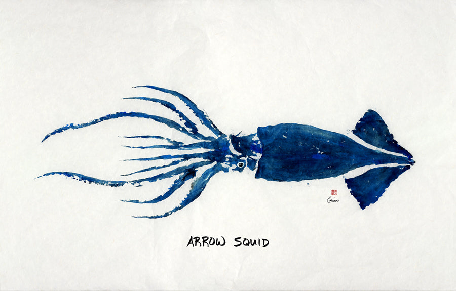 squid art