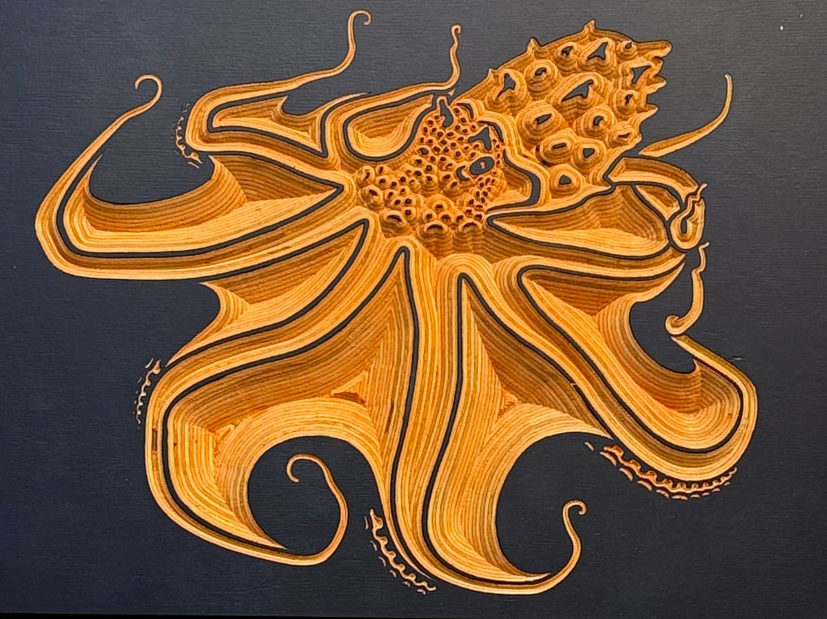 Lucas Schwartz – Scanlon Gallery & Custom Framing