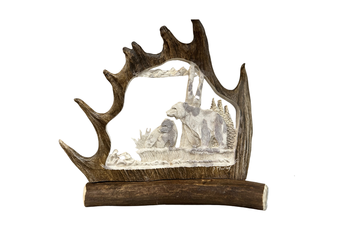 MOTHER AND CUB BEAR QUARTER ANTLER – Scanlon Gallery & Custom Framing