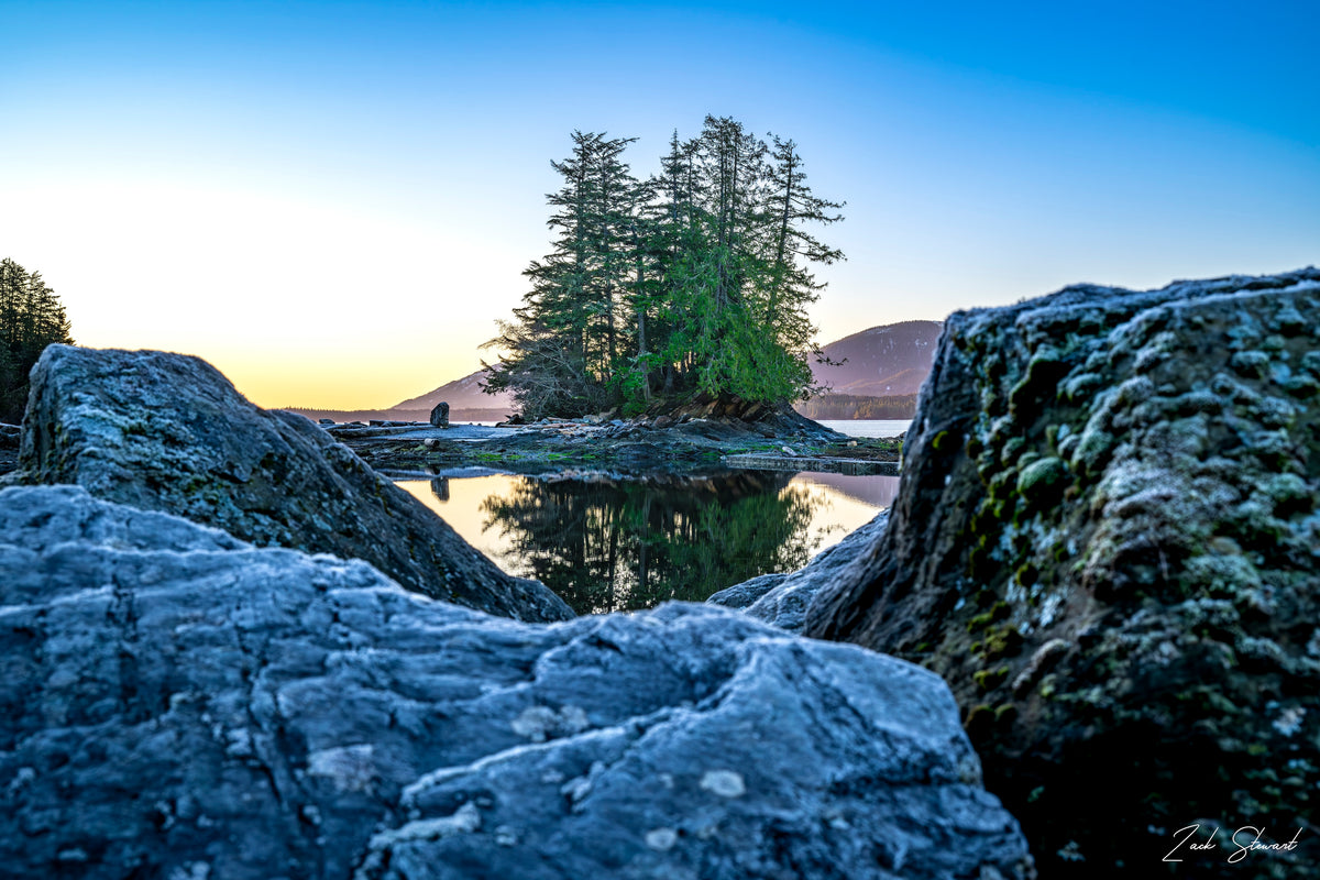 BUGGES THROUGH THE ROCKS – Scanlon Gallery & Custom Framing