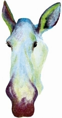 INDIAN SUMMER – Scanlon Gallery & Custom Framing