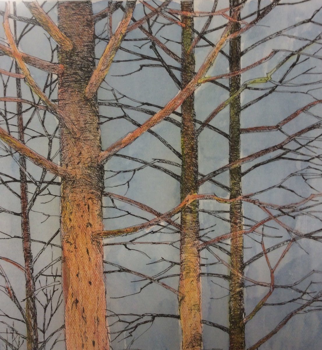 FROM THE EARTH ORIGINAL DRAWING – Scanlon Gallery & Custom Framing