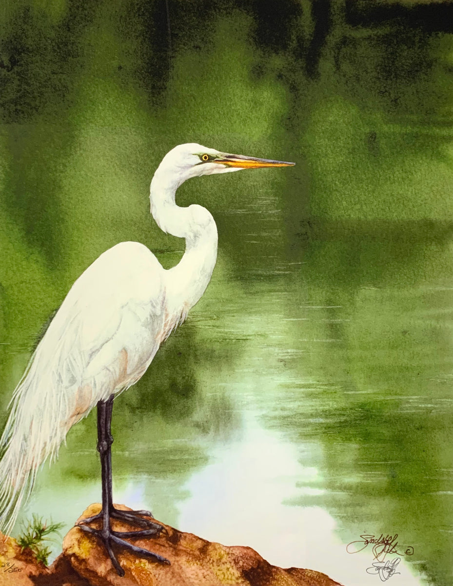 EVENING REFLECTION – Scanlon Gallery & Custom Framing