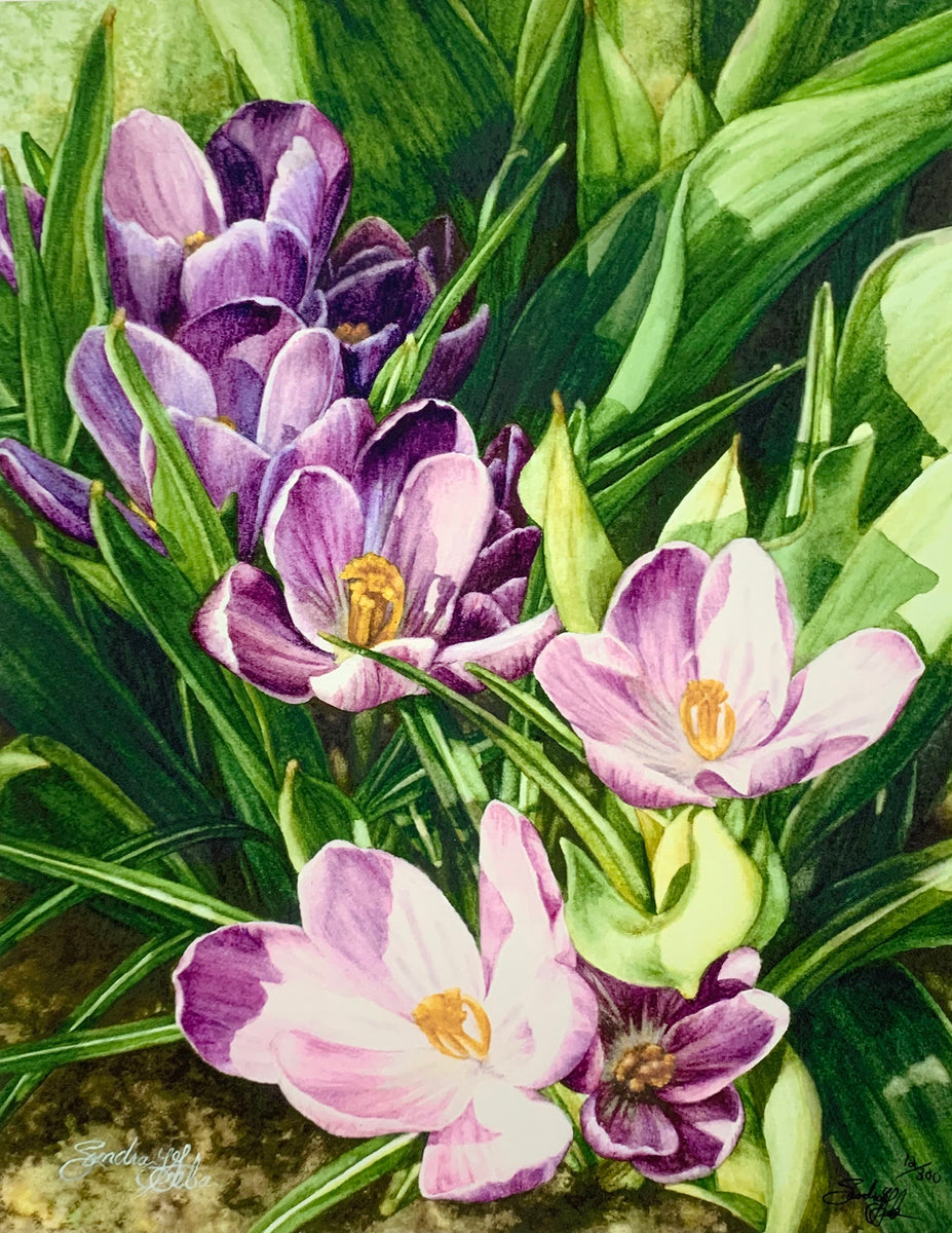 ILLUMINATION – Scanlon Gallery & Custom Framing