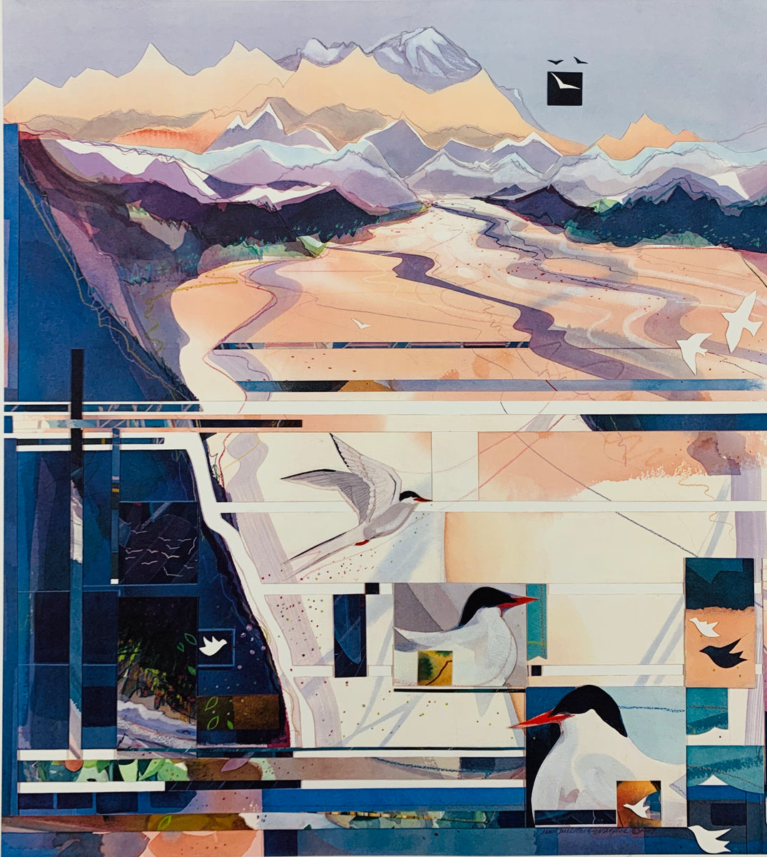 EMERGENCE GLACIER BAY ARCTIC TERNS A/P – Scanlon Gallery & Custom Framing