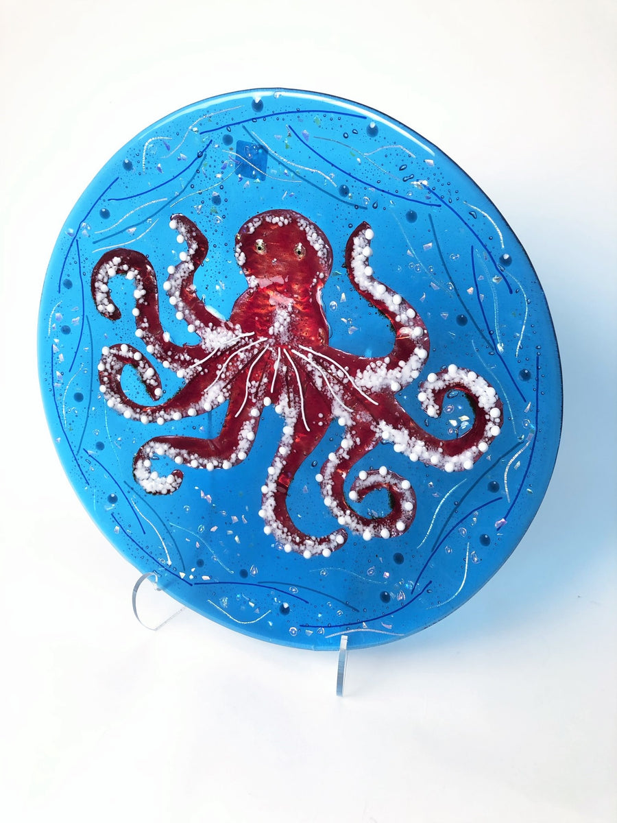 OCTOPUS PLATE 16" – Scanlon Gallery & Custom Framing